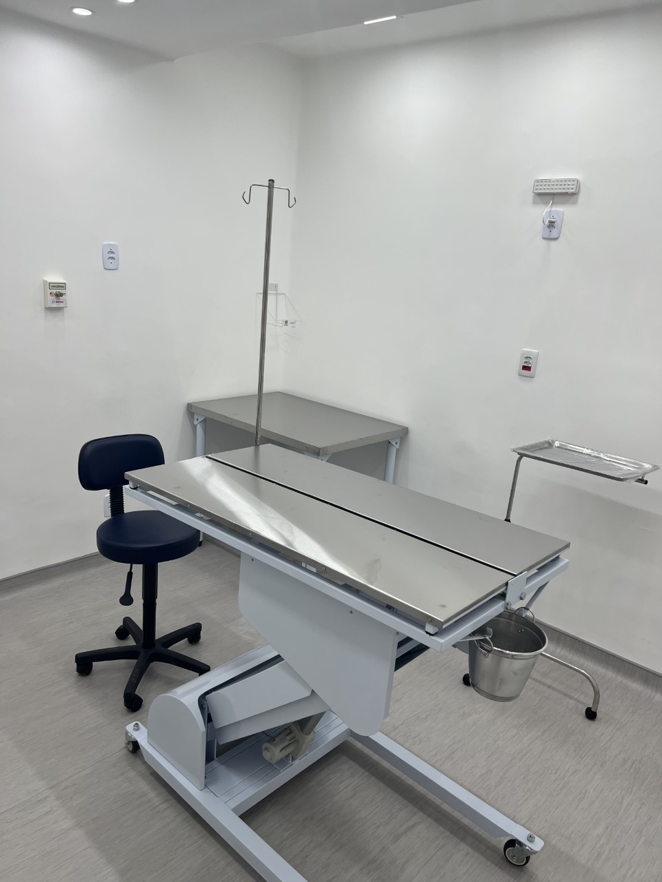 Conheça a All Vet, a nova clínica veterinária 24h do seu pet: completa ...
